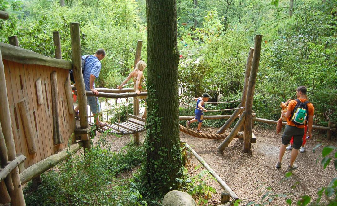 Zoo and Aquarium Design: Children's Paths: A How to Guide