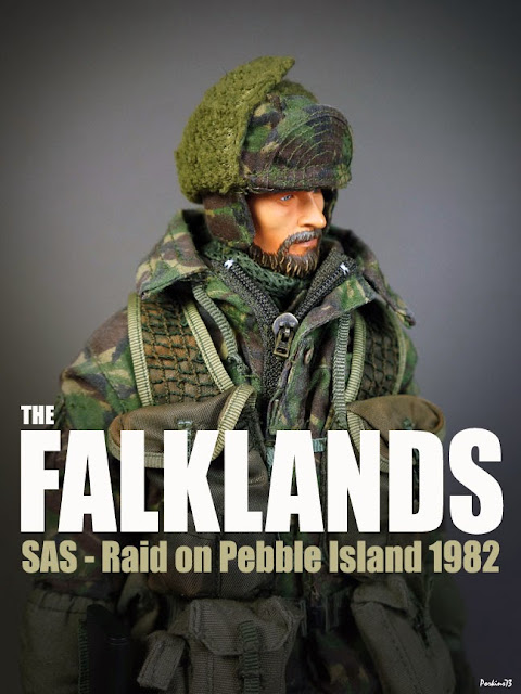 RED6: British SAS - The Falklands War, Raid on Pebble Island, 1982