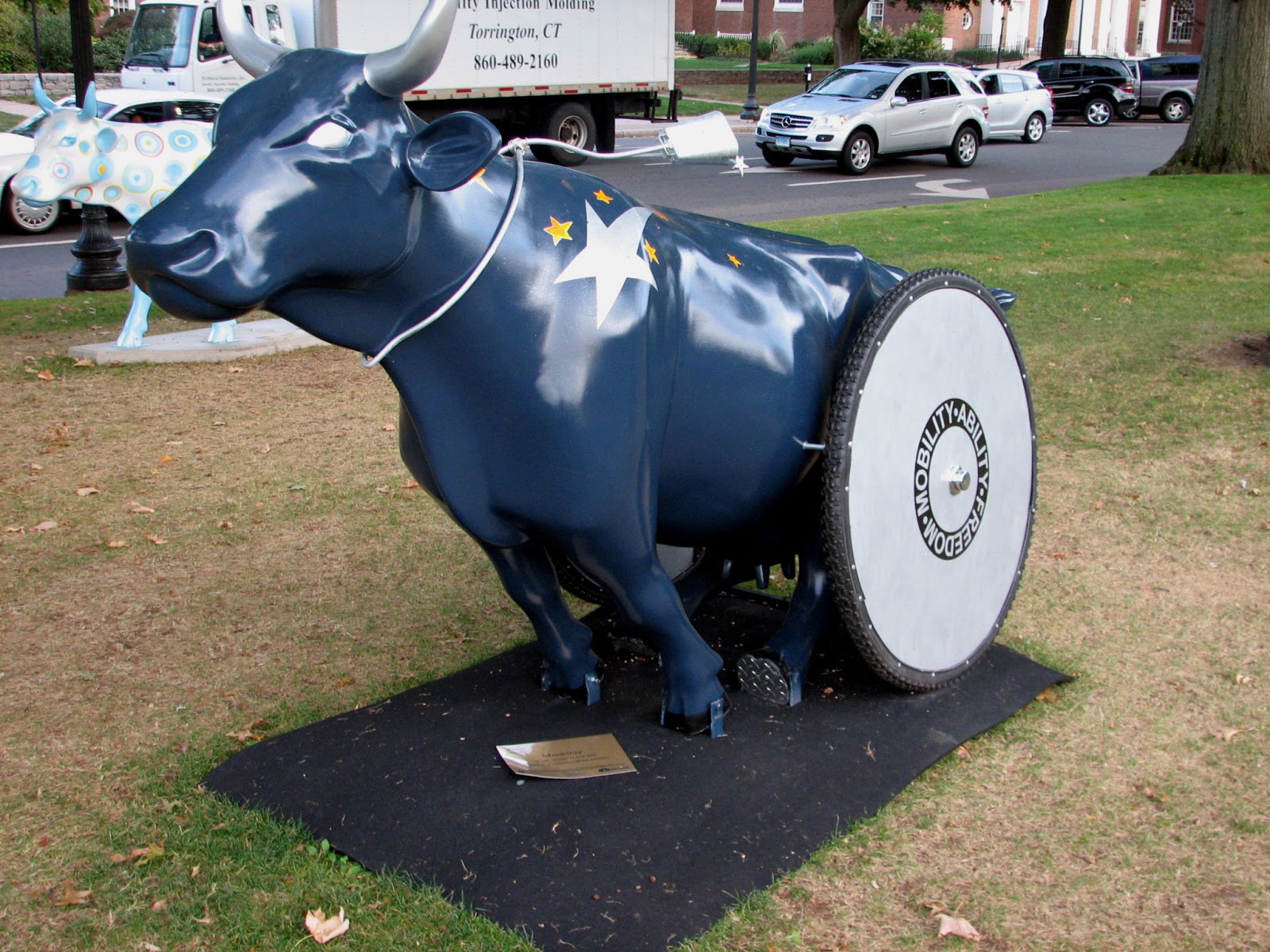 Gone Golf'in or Gone Photograph'in: The Cows of West Hartford