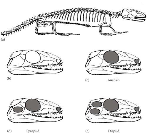 Extinct Animal of the Week: Weird Things
