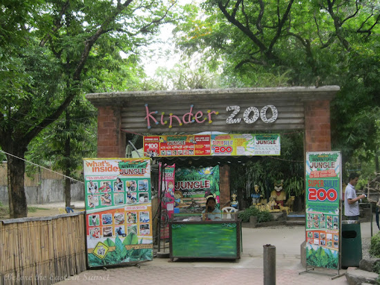 My First Visit to Manila Zoo |Filipino Sojourner