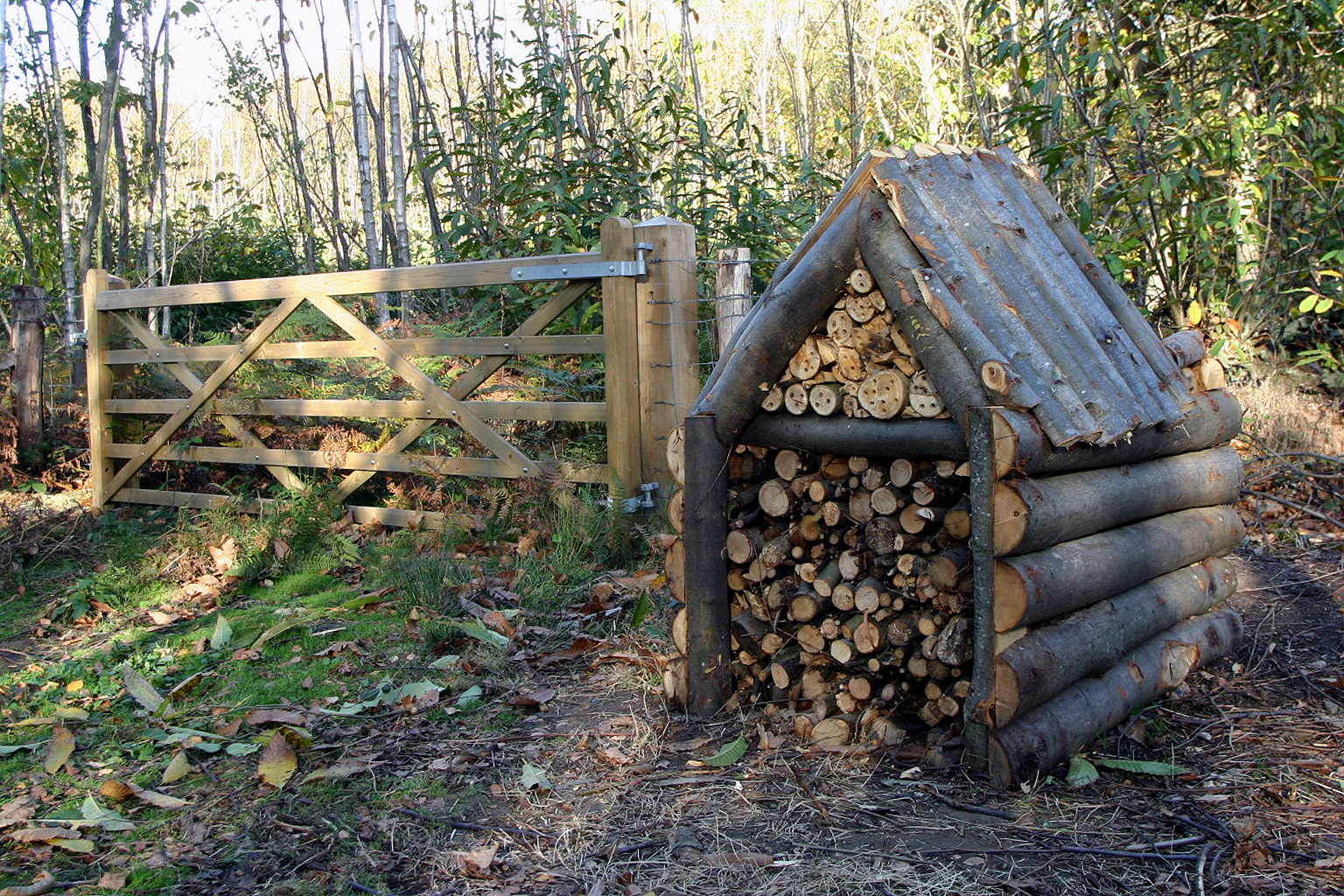 Wildart: Insect Homes