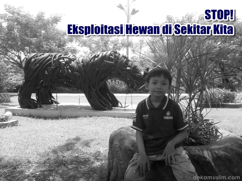 Upaya Tolak Eksploitasi Hewan di Sekitar Kita | dekamuslim