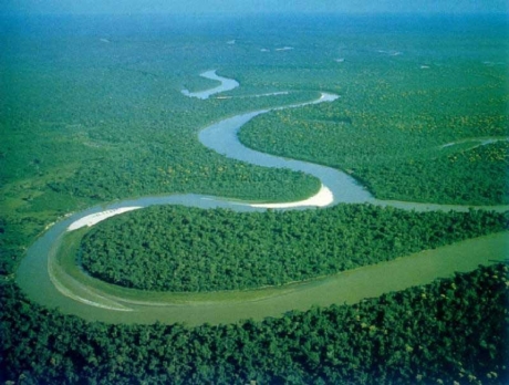 CURIOSIDADES DEL RÍO AMAZONAS :'''NO LO SE!!!... ¿O SI?