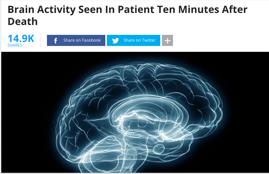 Genomic Entertainment: The Wacky Science of Brain Death