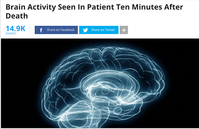 Genomic Entertainment: The Wacky Science of Brain Death