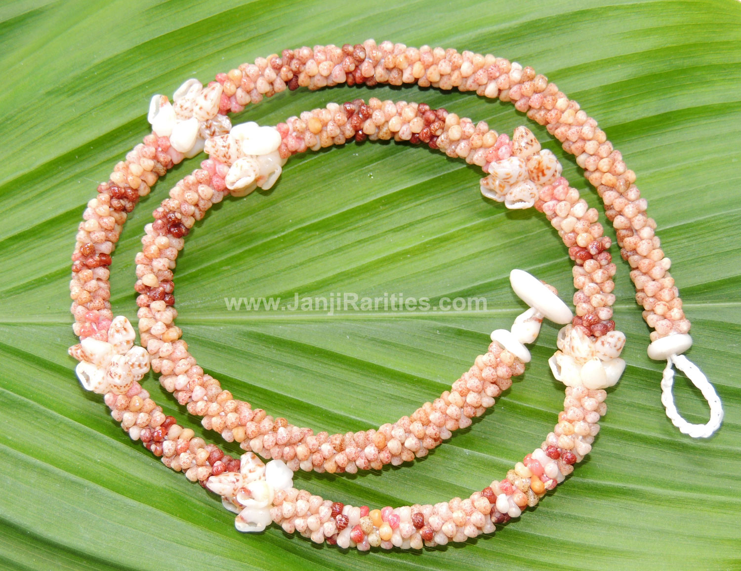 Kahelelani & Sunrise shell jewelry by.... Janjira: Kahelelani shell ...