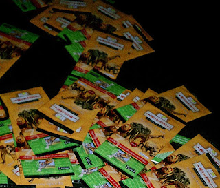 Bonggamom Finds: Animal Planet Wildlands Cards