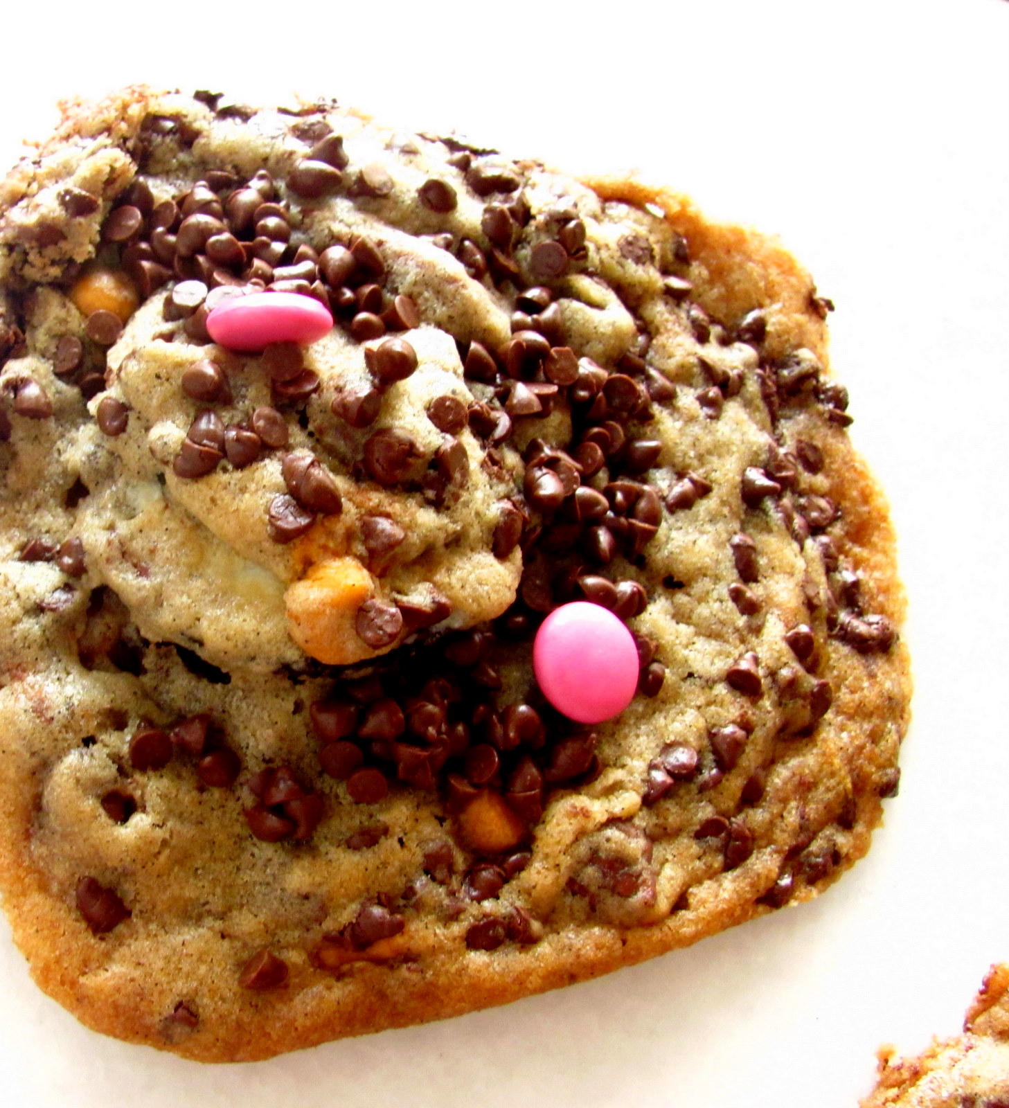 ♥Bright♥Morning♥Star♥: A CUTE COOKIE INSIDE A CUT'R COOKIE @ SECRET ...