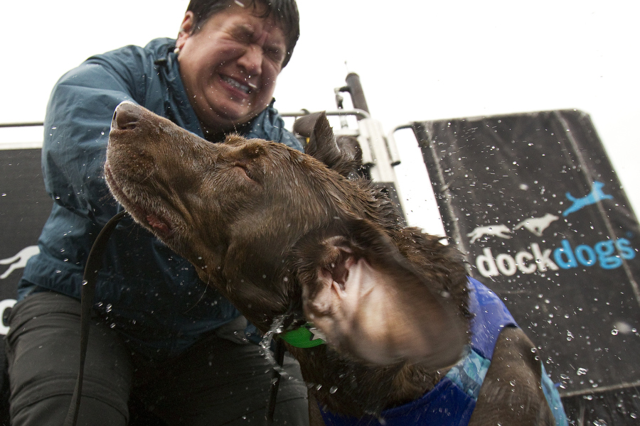 Jordan Stead: DockDogs | Canine longjumping championship