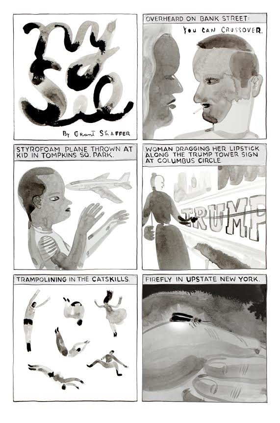 EV Grieve: Grant Shaffer's NY See