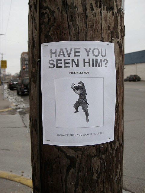 Freaky Ninja: Ninja Signs