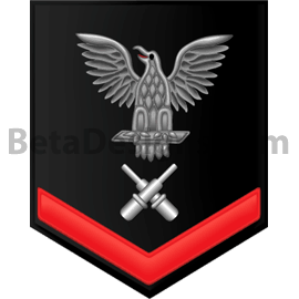 Cowboys : US Navy Infomation Systems Technition