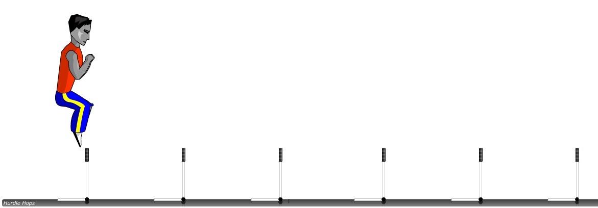 Kombinasi Latihan Plyometric - Galeri Penjas