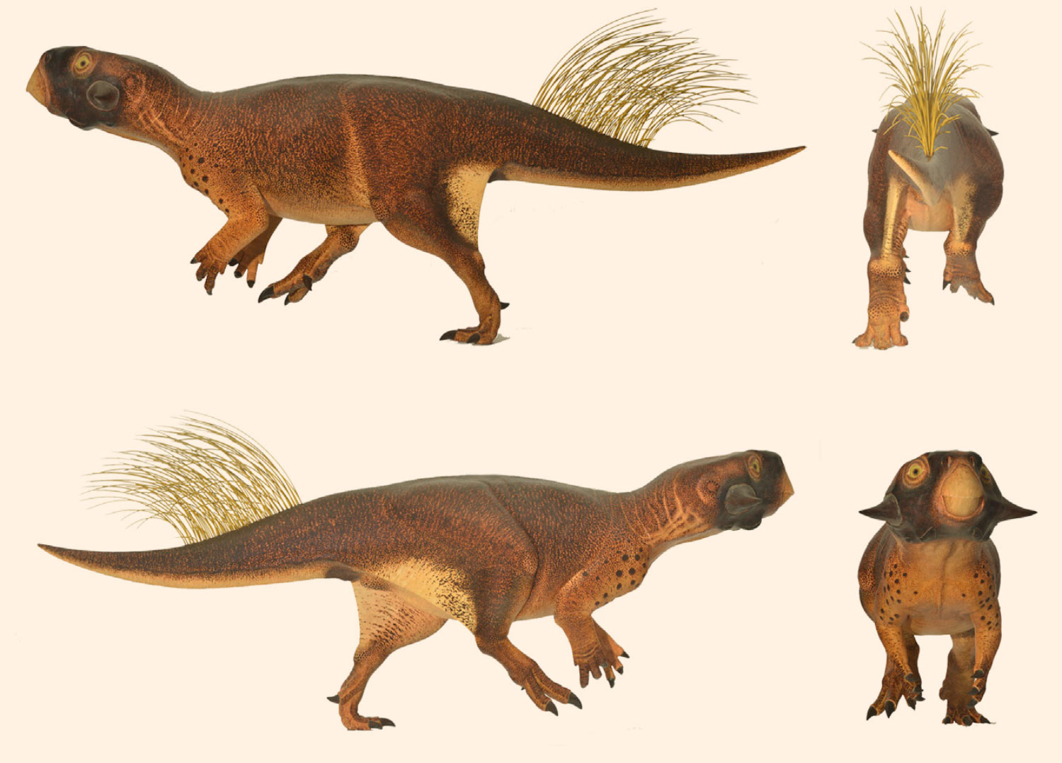 Palaeos, la historia de la Vida en la Tierra: ¿Qué tanto alboroto con ...