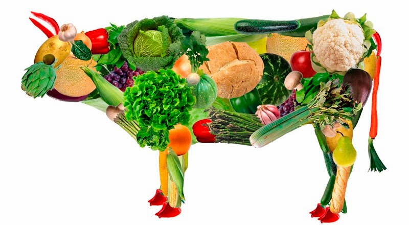 Ciencia a tu alcance: Nutrición Animal