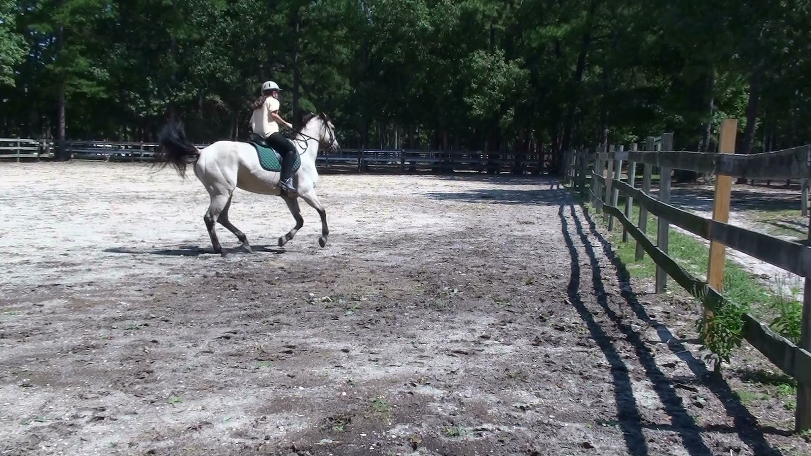 Memoirs of a Horse Girl: Riding Reflection: Toe-Touching Exercises