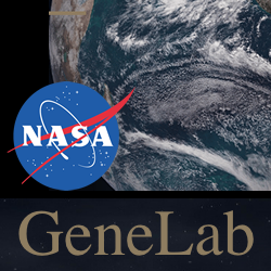 Teacher Librarians: Bridging Theory and Practice: Website Review: NASA ...