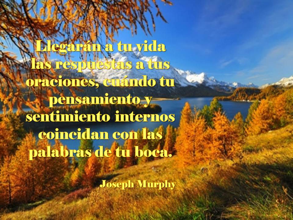 VIVIENDO EN UN MUNDO FELIZ