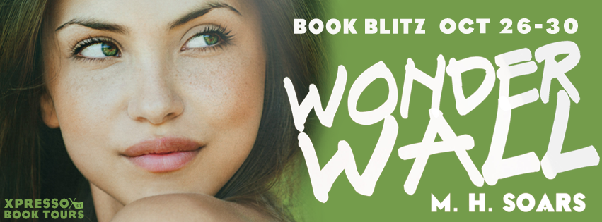 Ogitchida Kwe's Book Blog : Wonderwall Book Blitz. Giveaway!