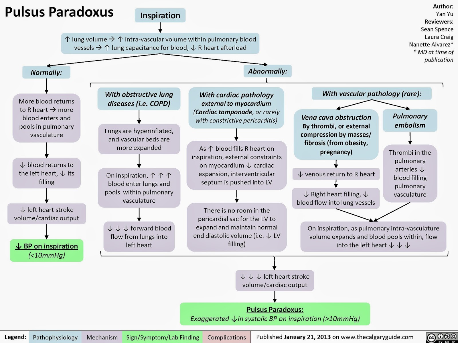 Long Life Learning: Bermacam Denyut Nadi (Pulsus)
