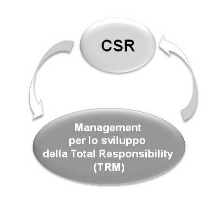 Total Responsibility di roberto armigliati: Modello e strumenti TRM ...