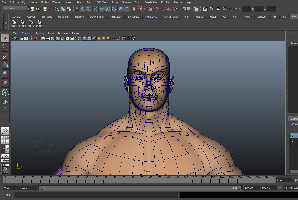 Human Anatomy with Texture | Creative Prabal