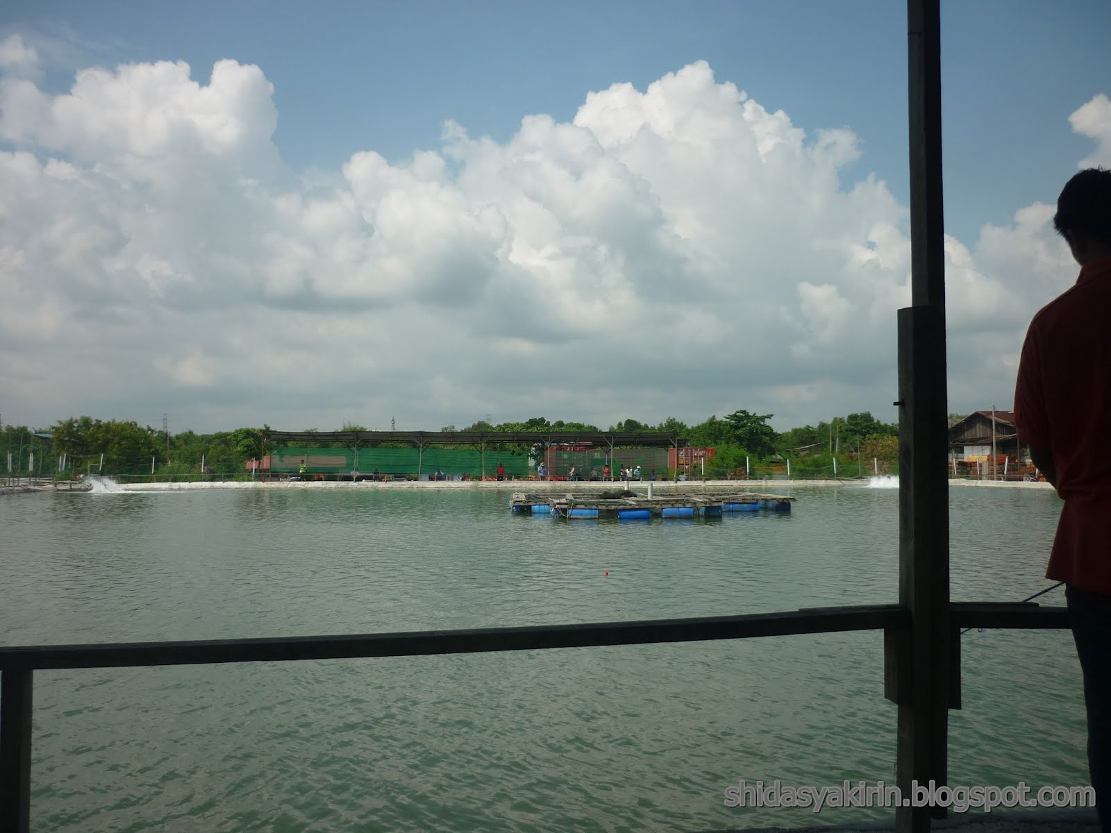 shidasyakirin: Port Mancing Ikan Laut