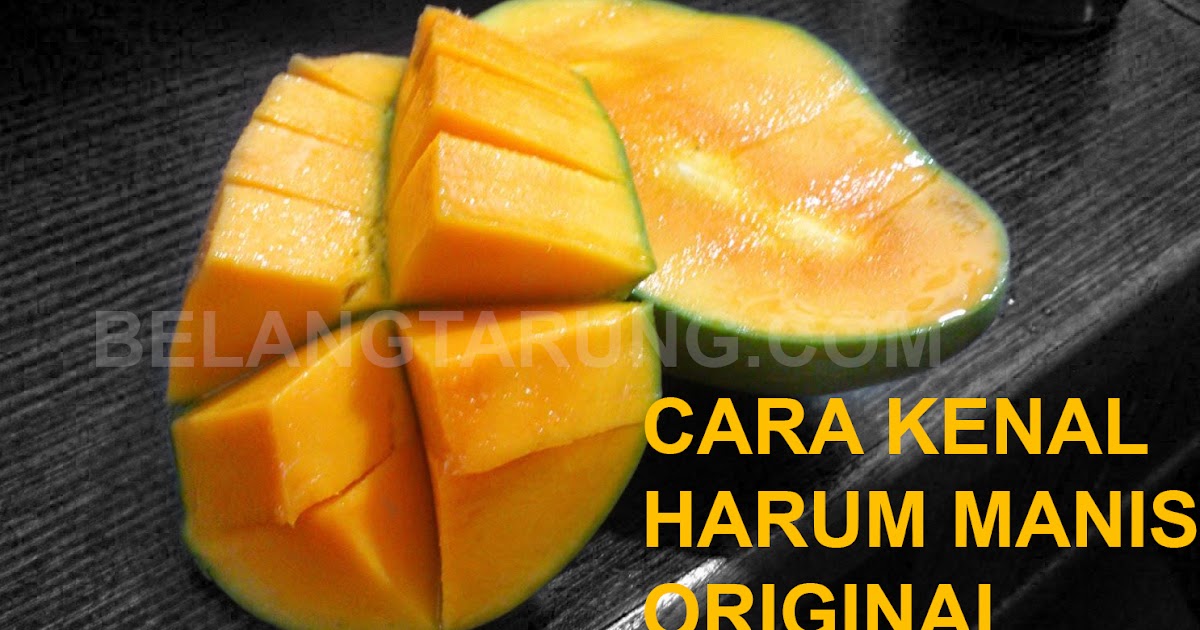 Cara Kenal Buah Mangga Harum Manis yang Asli