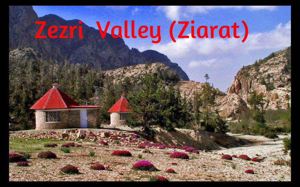 Spreebird: Ziarat Tourist Resort (Pakistan)