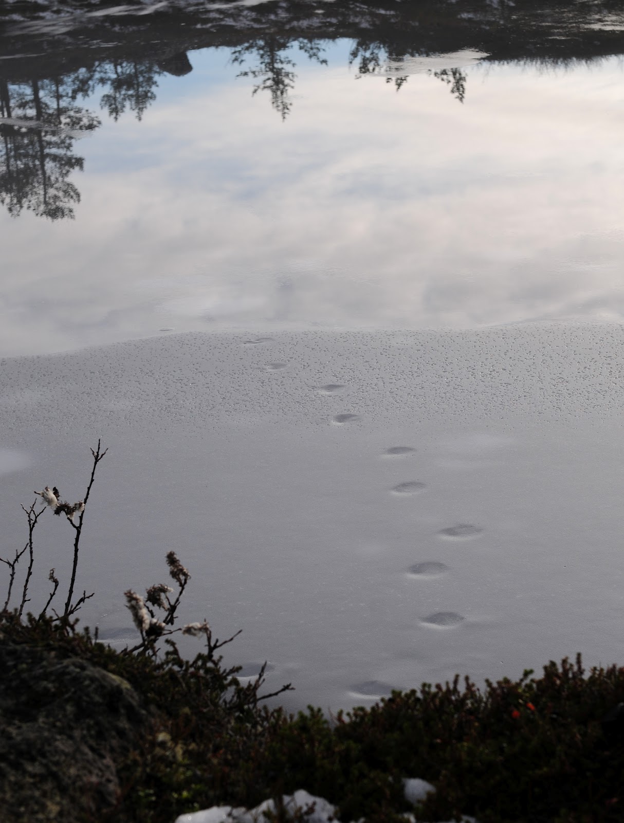 Lappi lokakuussa | Kernaasti Kuvia
