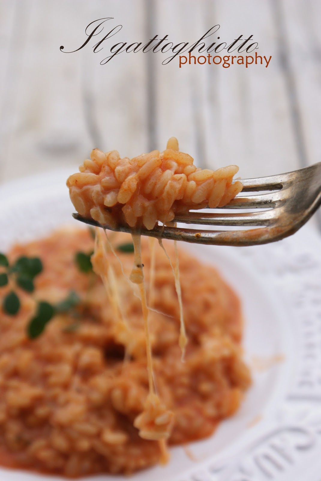Risotto alla pizzaiola...made in Italy – IlGattoGhiotto.it