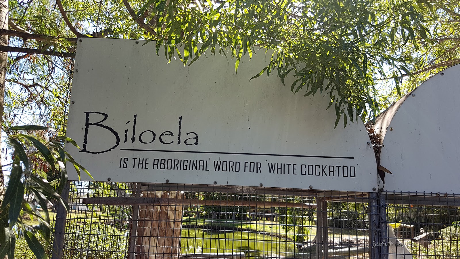 thoughts & happenings: Biloela, Queensland