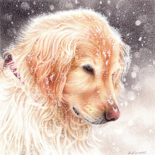Artistic Blog - learn how to draw with colored pencils: Dogs