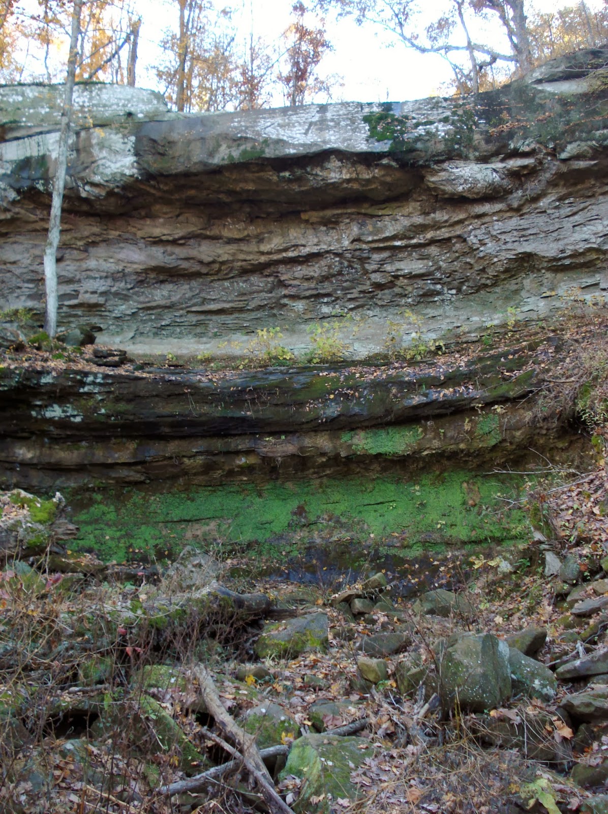 Experiencing Illinois: Rocky Bluff Trail
