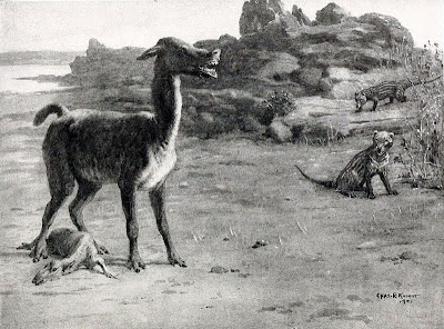 Catalogue of Organisms: The Litopterns: Macrauchenia and More