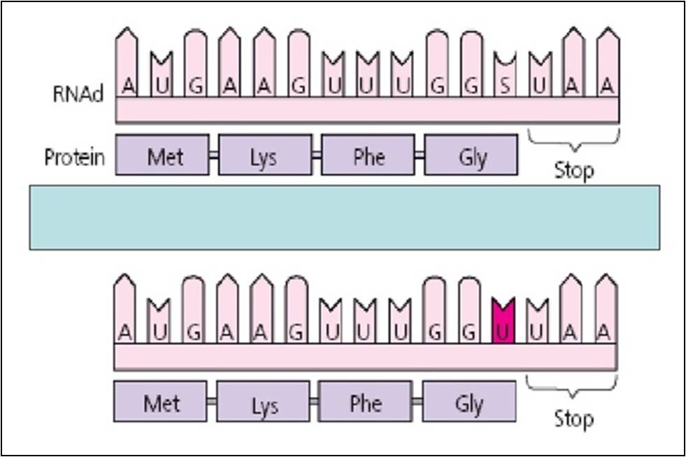 lebioging.blogspot.com: MUTASI