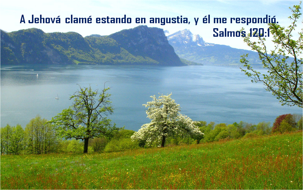 Palabra de Dios: Dios responde.