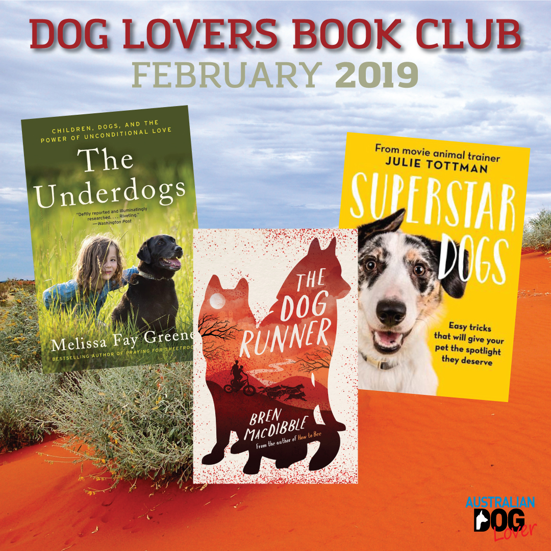 What To Do If Your Dog Is A Runner