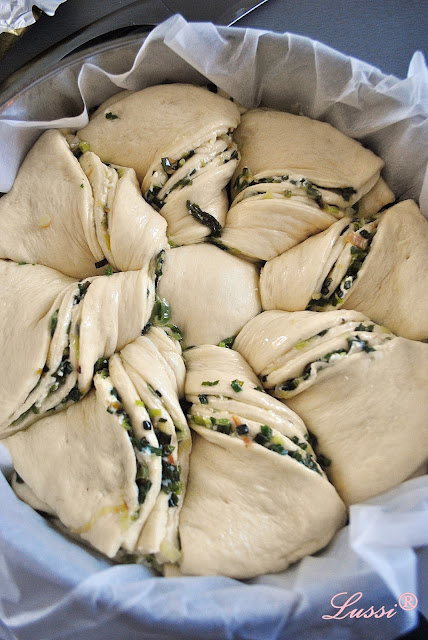 Lussi`s World of Artcraft: Засукана питка с пресен лук / Spring Onion Bread