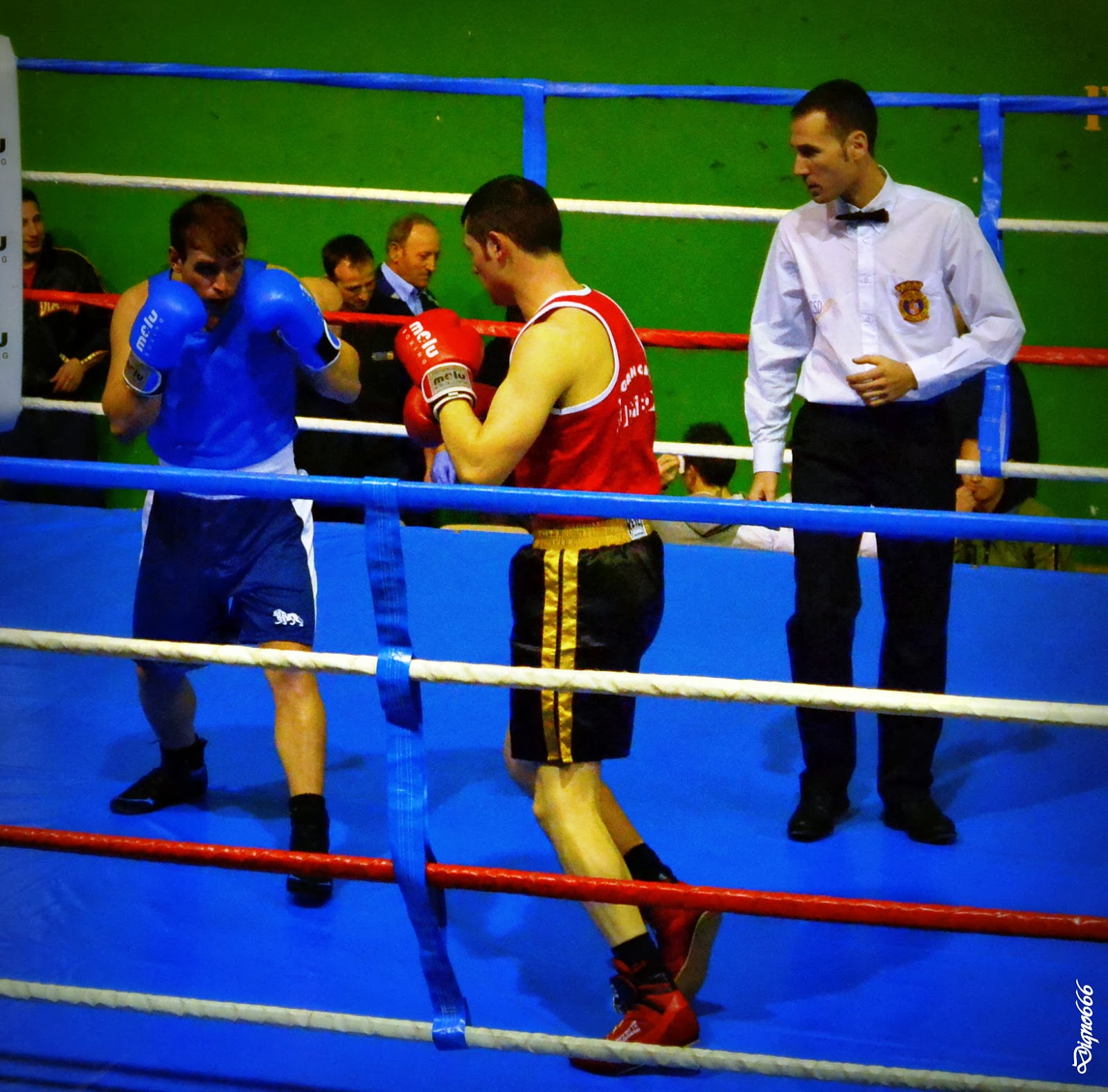 COMANDO ALCANTARILLA: [Fotos] Gran velada de boxeo de 8 combates ...