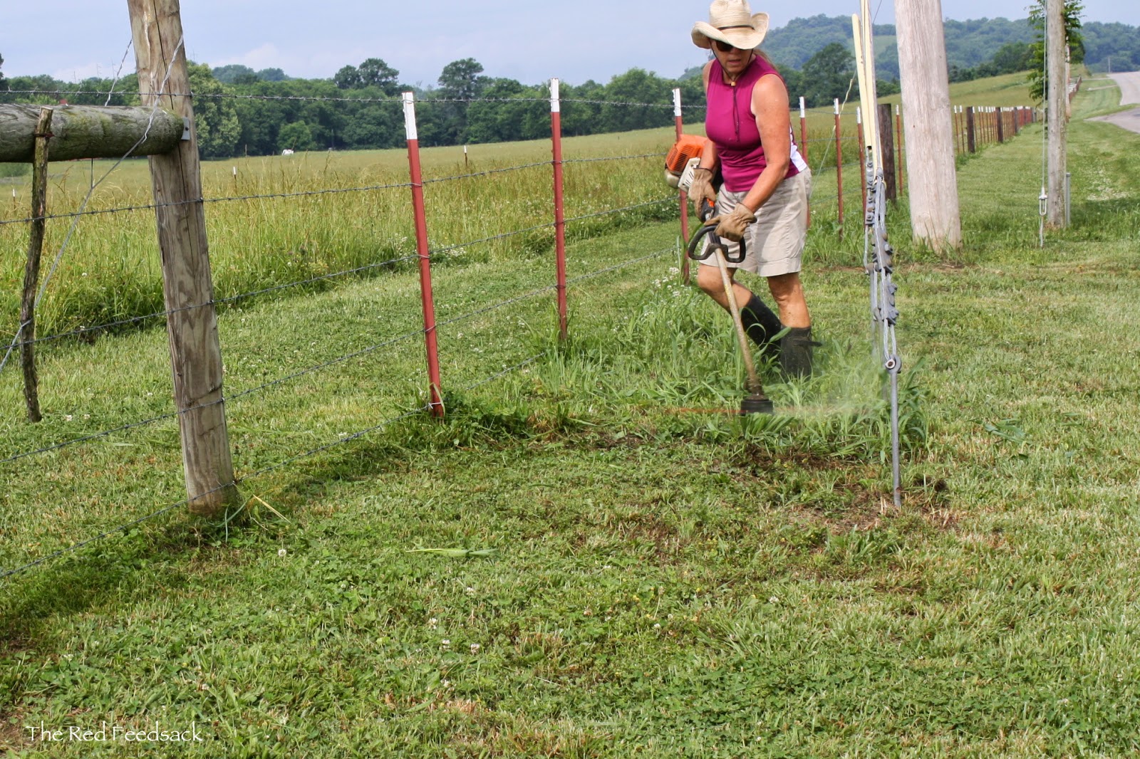 The Red Feedsack: May Monthly Moos {Smelling Freshly Cut Grass}