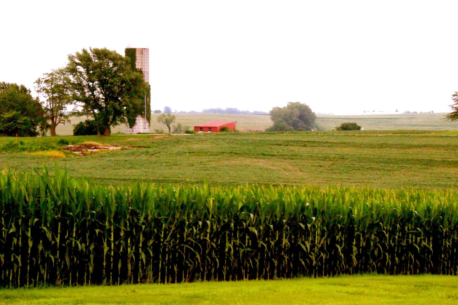 15009 Farmhouse: Farm Photo Contest