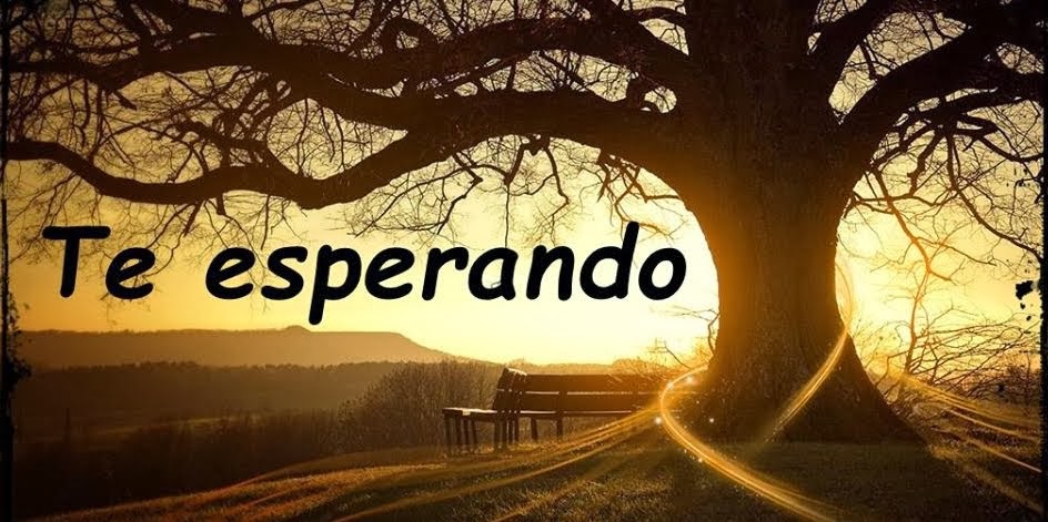 Te Esperando