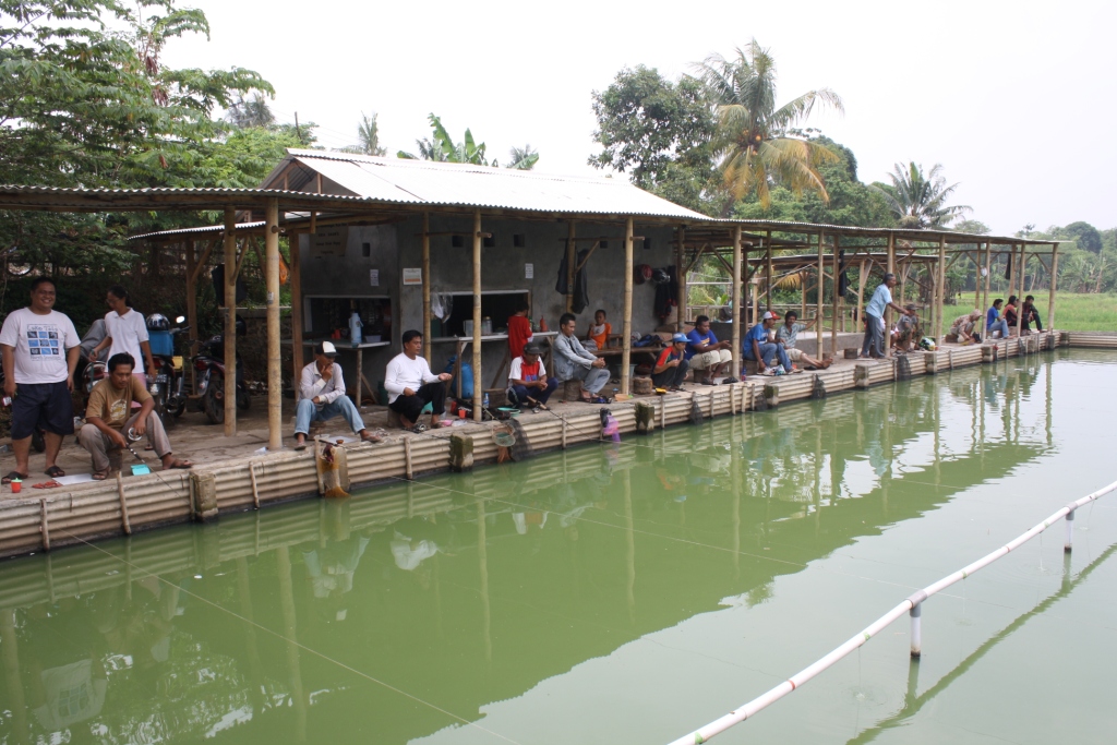 Pemancingan Gandaria Rajeg Tangerang...: Foto Pemancingan Ikan Mas saat ...
