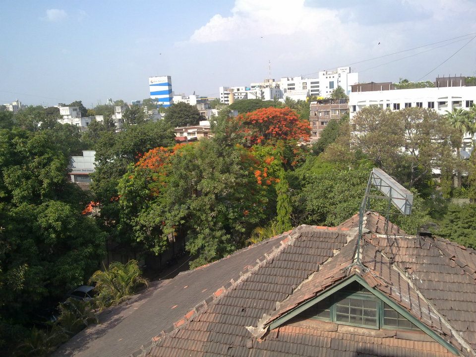 क्षणभंगुर : National Institute of Naturopathy (NIN), Pune