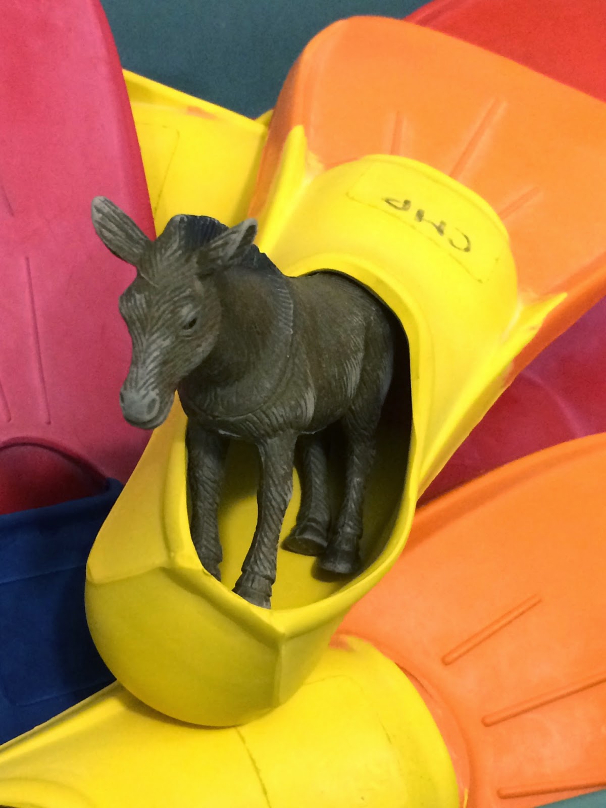 Spare Parts: The Life Aquatic :: Donkey's Day at the Pool