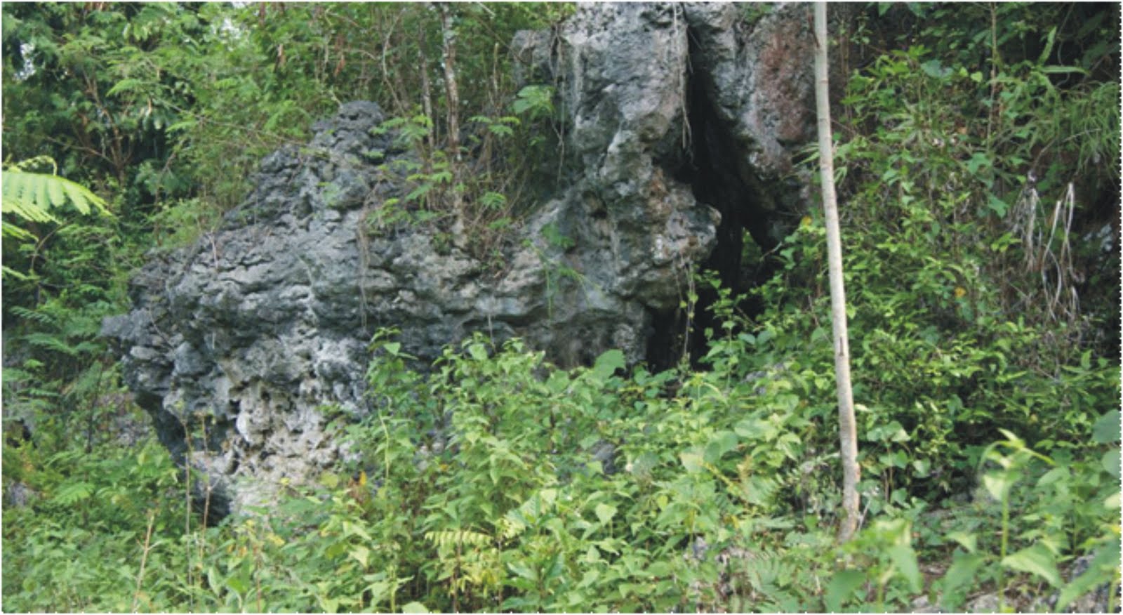 Pertambangan dan Geologi: Potensi Batu Gamping di Banten