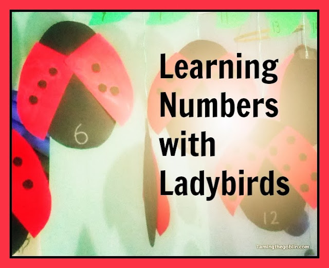 Taming the Goblin: Number Ladybirds