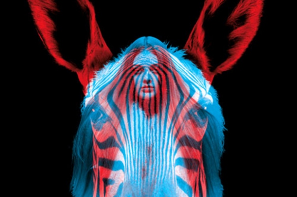 Helmo | Fashion Animals | Tutt'Art@ | Pittura * Scultura * Poesia * Musica